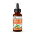 organic papaya leaf extract benefits
