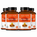 organic papaya tablets for health