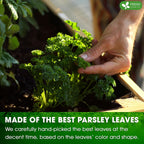 organic parsley leaf tea for wellness