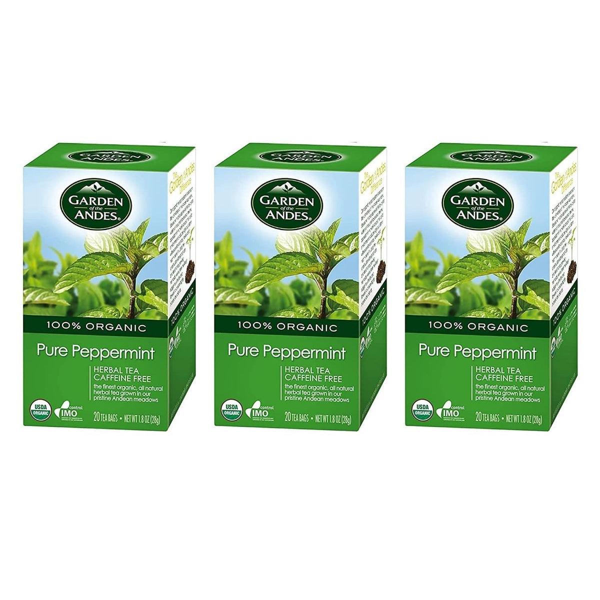 organic peppermint tea bags