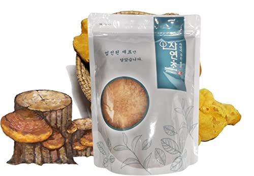 organic phellinus linteus extract powder