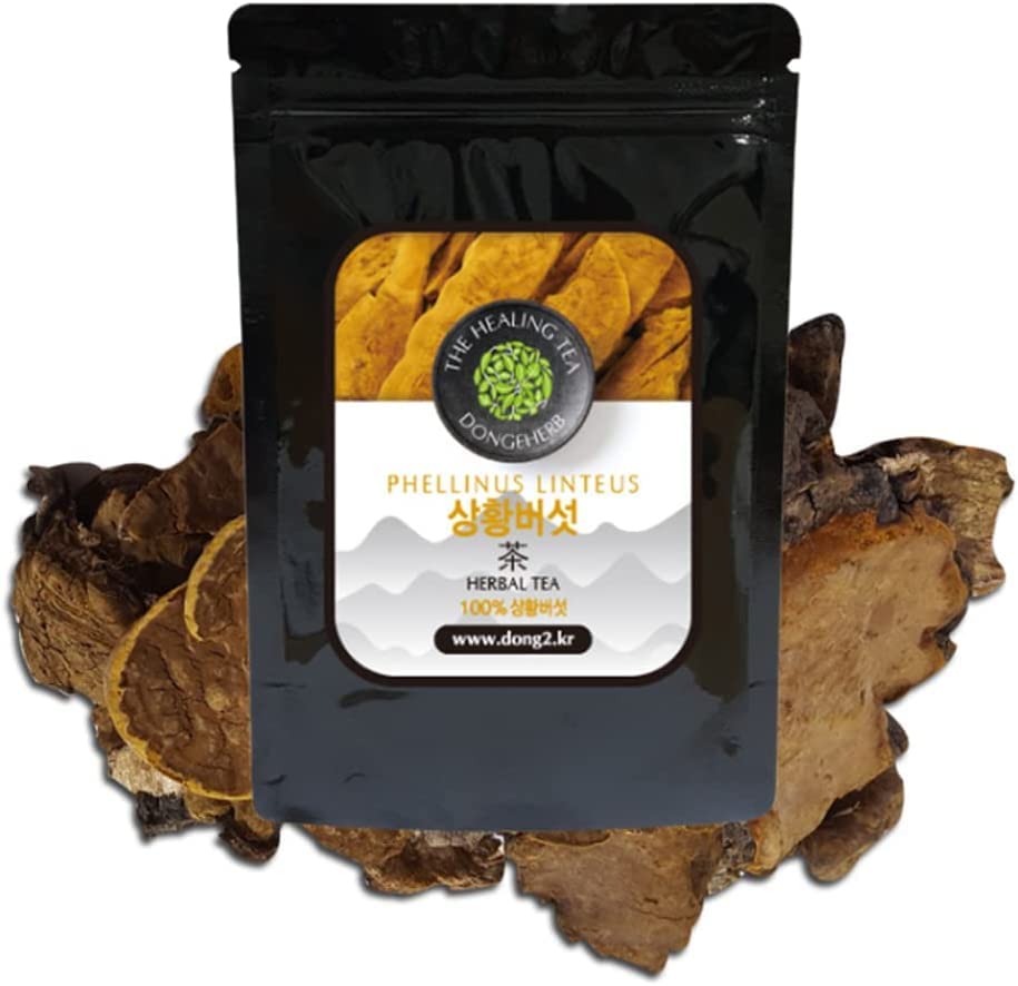 Organic Phellinus Linteus mushroom benefits