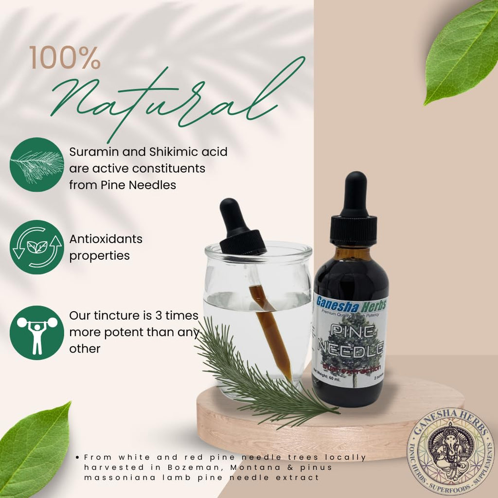 organic pine needle tincture for wellness