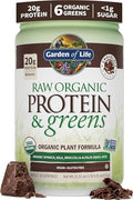 organic plant protein powder chocolate