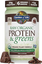 organic plant protein powder chocolate