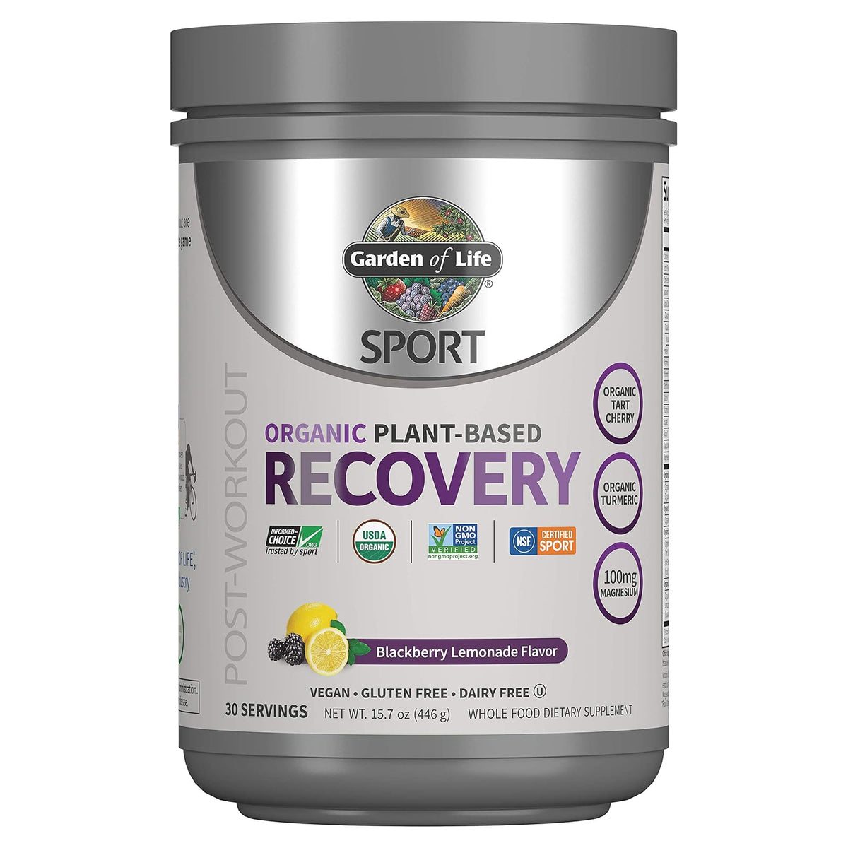 organic plant protein recovery powder
