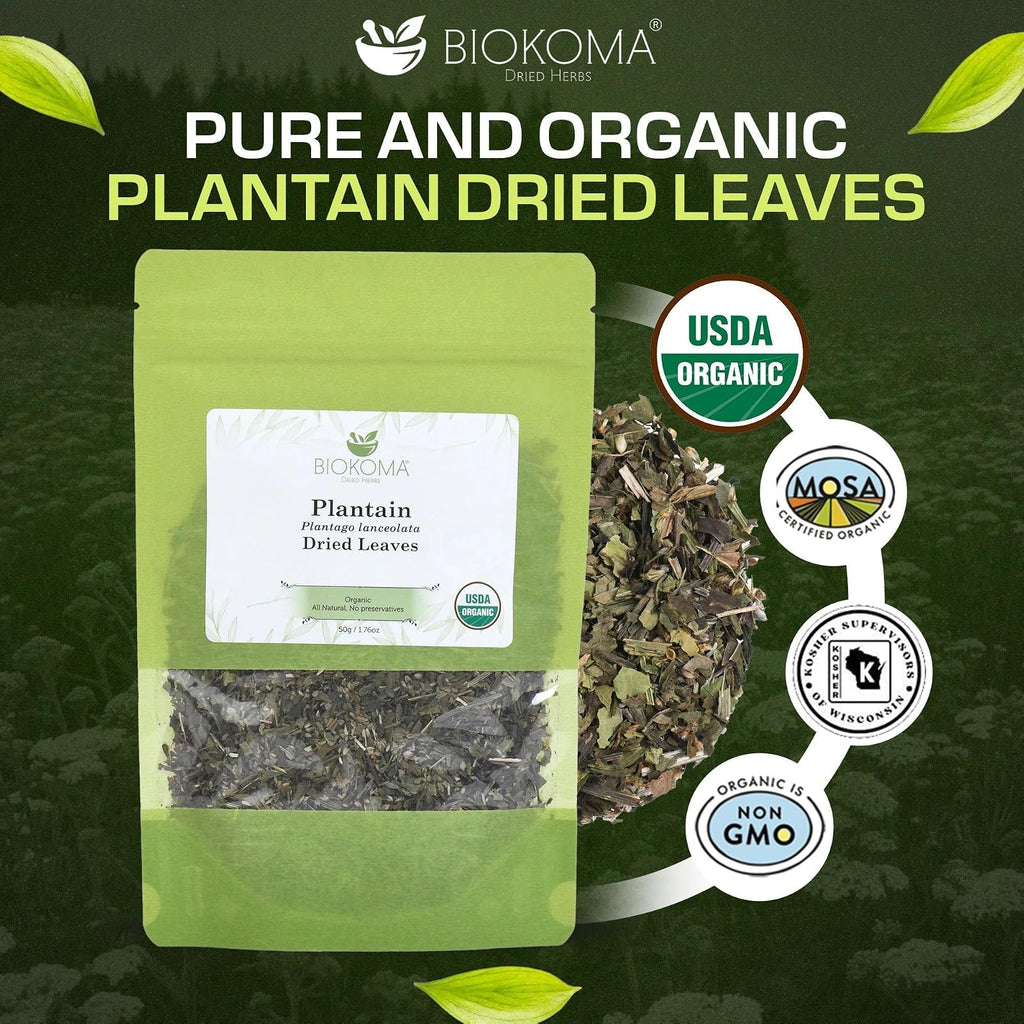 organic plantain dried leaves benefits