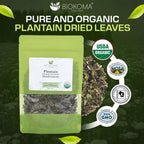 organic plantain dried leaves benefits