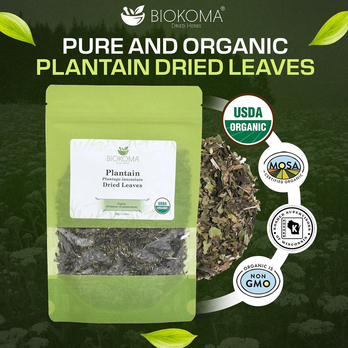 organic plantain dried leaves benefits