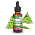 organic plantain leaf extract benefits