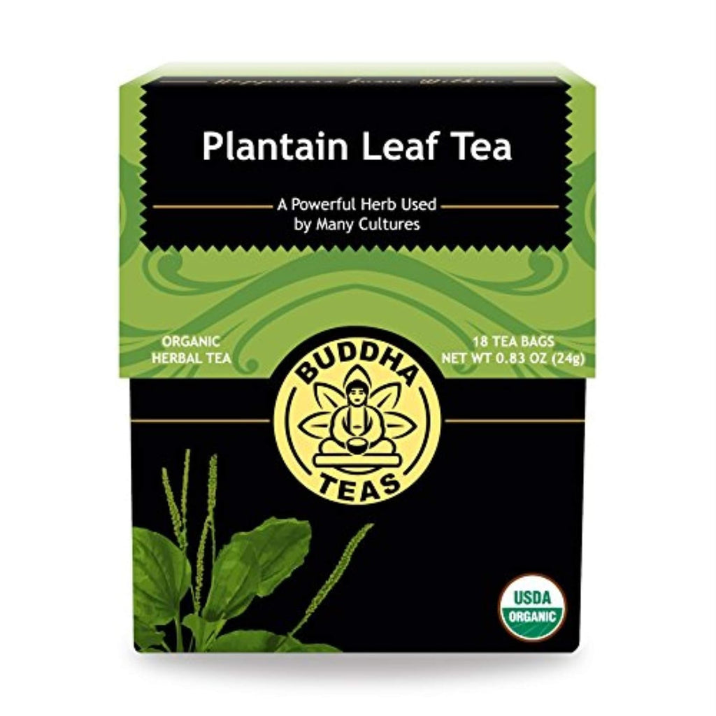 organic plantain leaf herbal tea