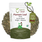 organic plantain leaf herbal tea