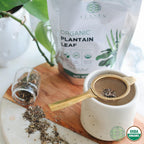 organic plantain leaf tea benefits