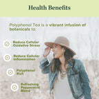 organic polyphenol tea with poha berry