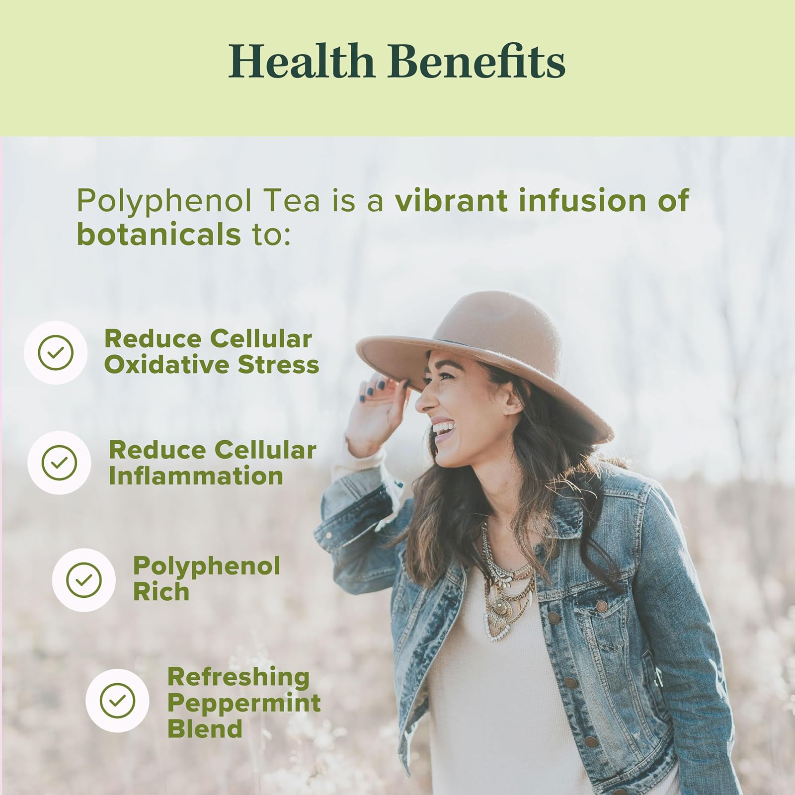 organic polyphenol tea with poha berry