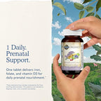 organic prenatal vitamins for expecting mothers