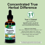 organic propolis for natural healing