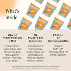 organic protein for healthy snacks