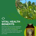 organic protein powder for athletes