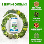 organic protein powder for meal replacement