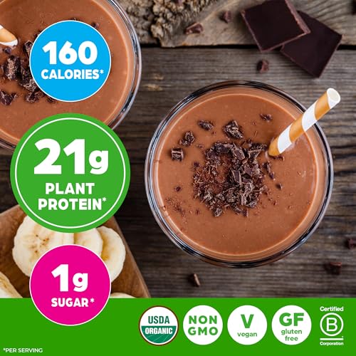 organic protein powder for muscle recovery