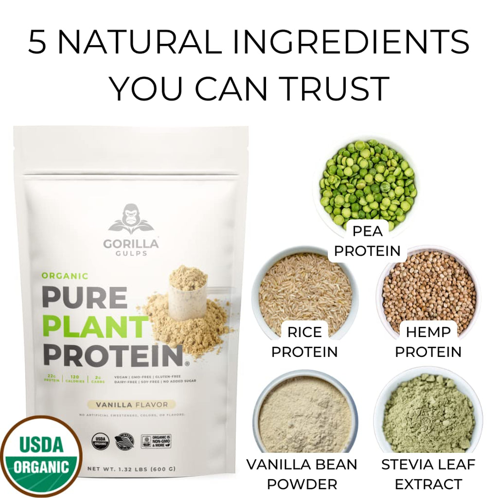 Organic protein powder for muscle recovery