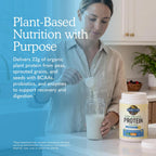 organic protein powder for smoothies