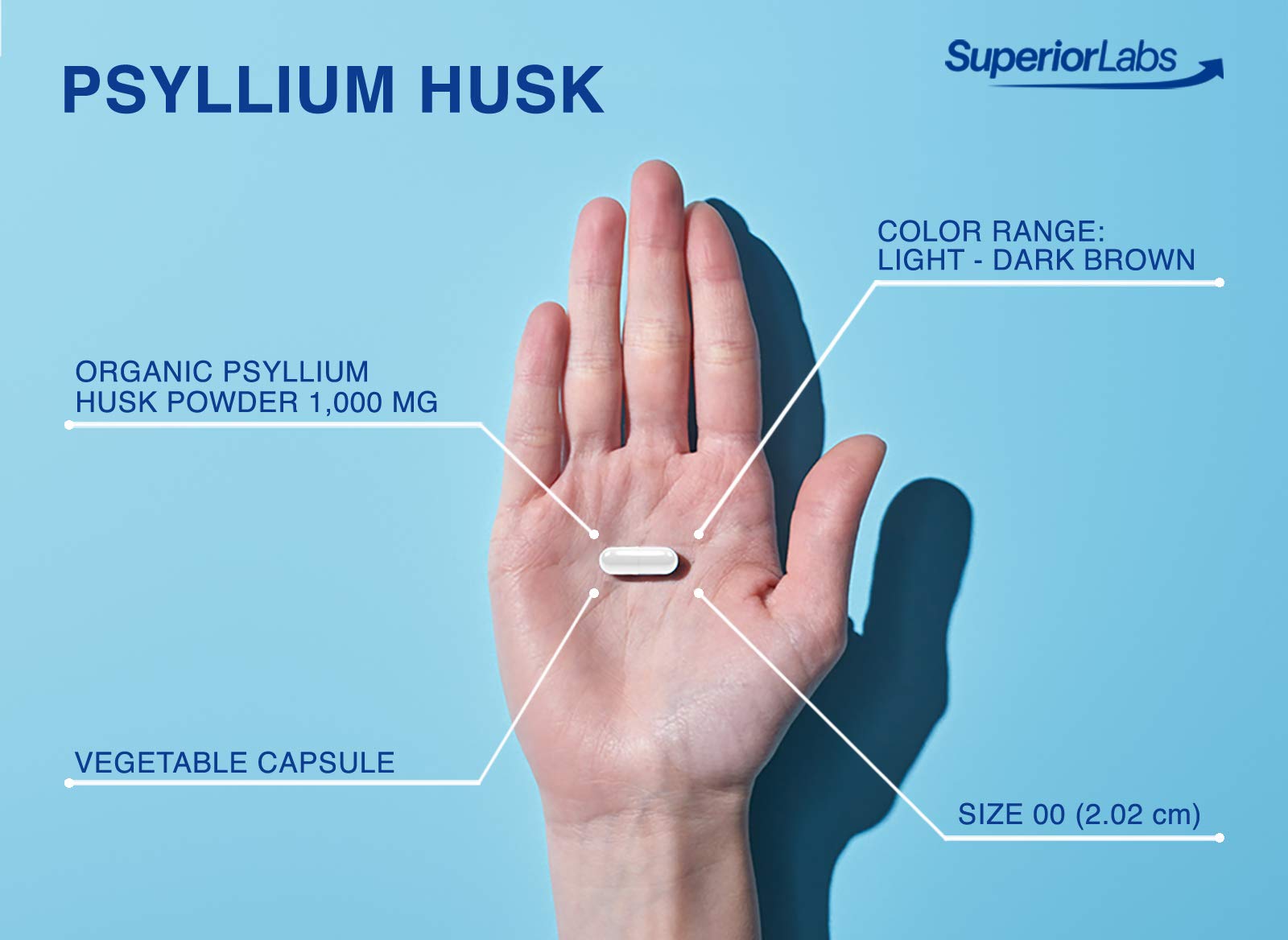 organic psyllium husk for gut health