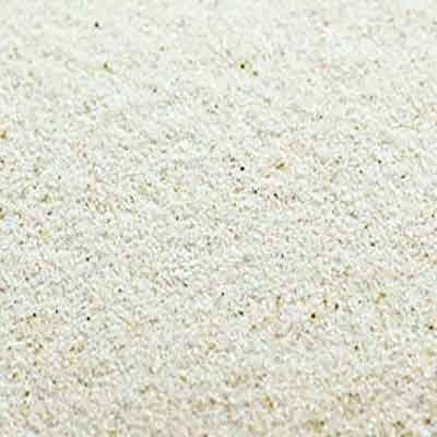 organic psyllium husk powder