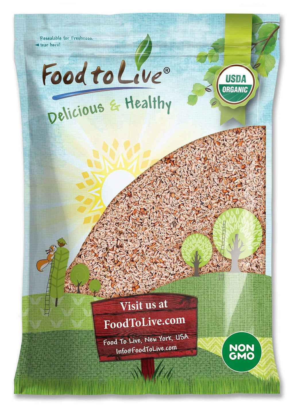 organic psyllium husk seeds bulk