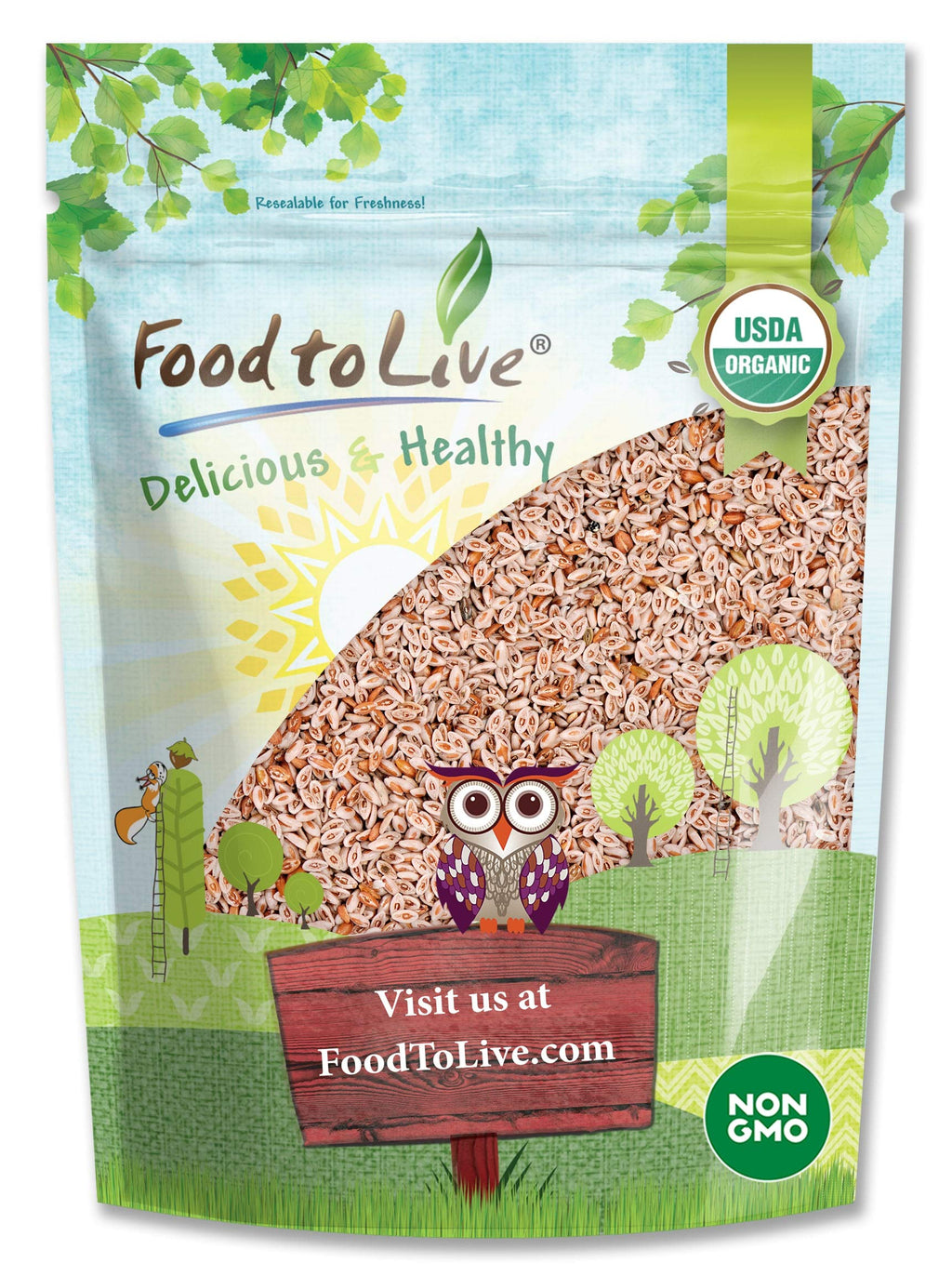 organic psyllium seeds for smoothies