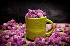organic red clover flower infusion