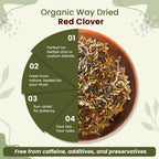 Organic red clover tea infusion