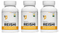 organic reishi mushroom capsules for wellness