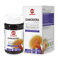 organic reishi mushroom capsules