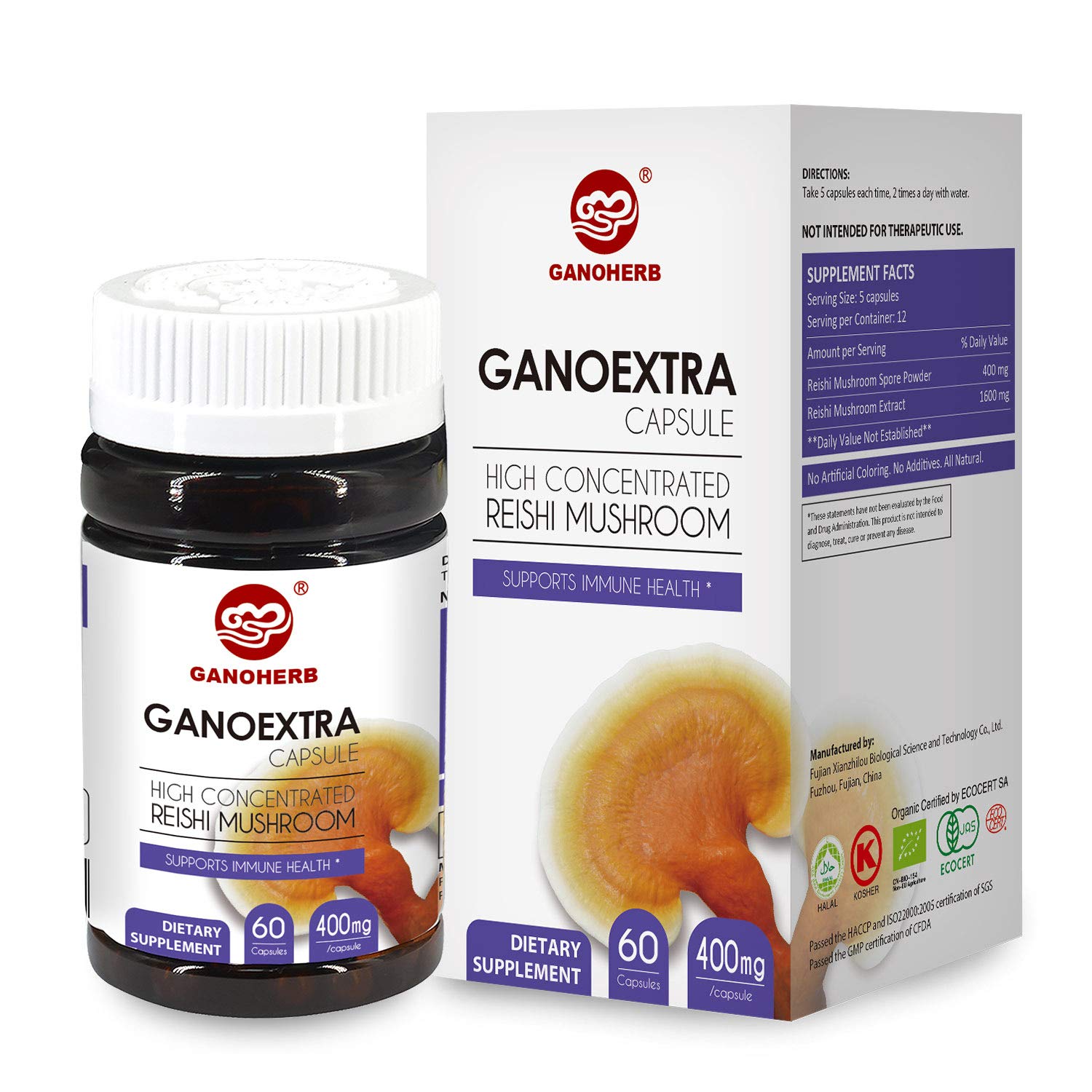 organic reishi mushroom capsules