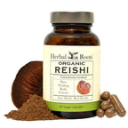 organic reishi mushroom capsules
