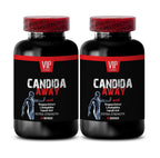 organic reishi mushroom capsules