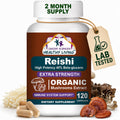 organic reishi mushroom capsules