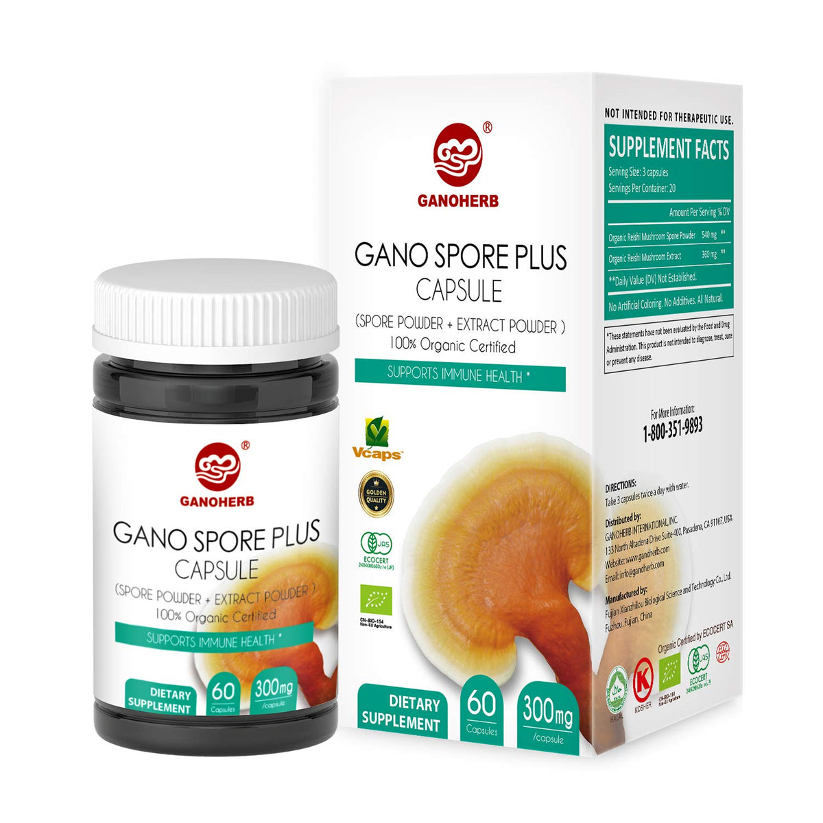 organic reishi mushroom capsules