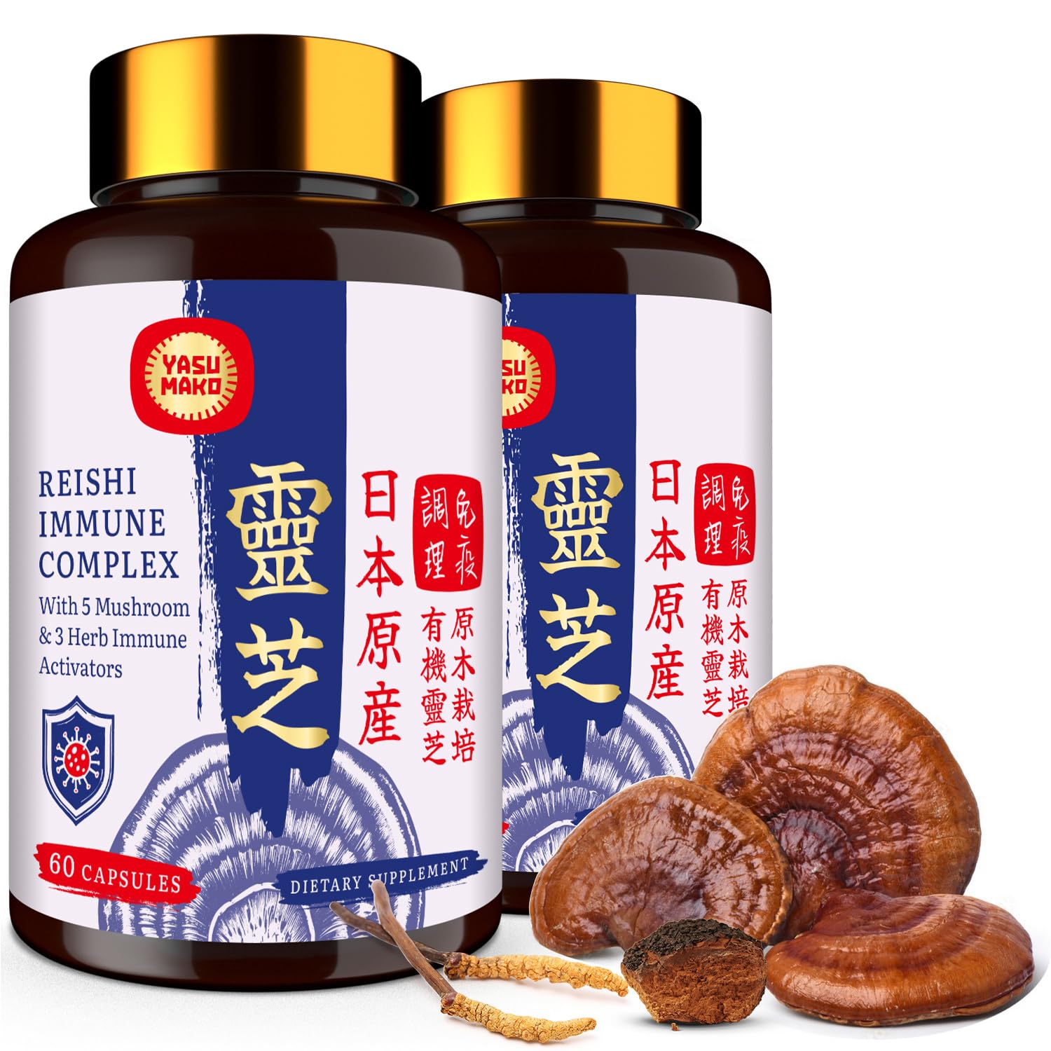 organic reishi mushroom capsules