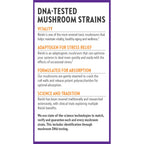 organic reishi mushroom for balanced mood