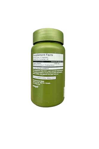 Organic Reishi mushrooms for health