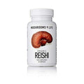 organic reishi mushrooms for vitality