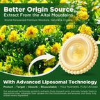 organic Rhodiola gummies for energy boost