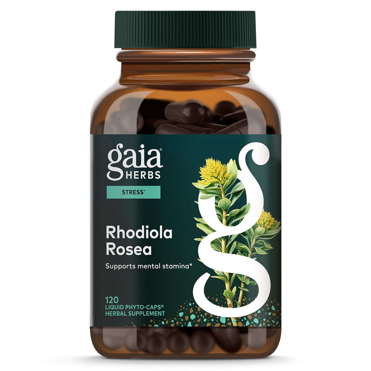 organic rhodiola rosea capsules