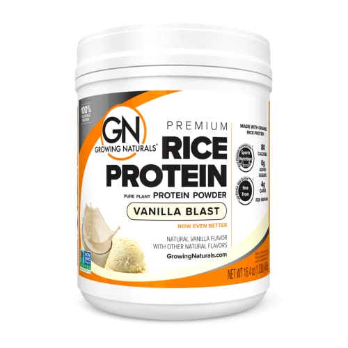 organic rice protein powder vanilla