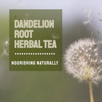 Organic roasted dandelion burdock tea