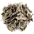 organic sage culinary herb