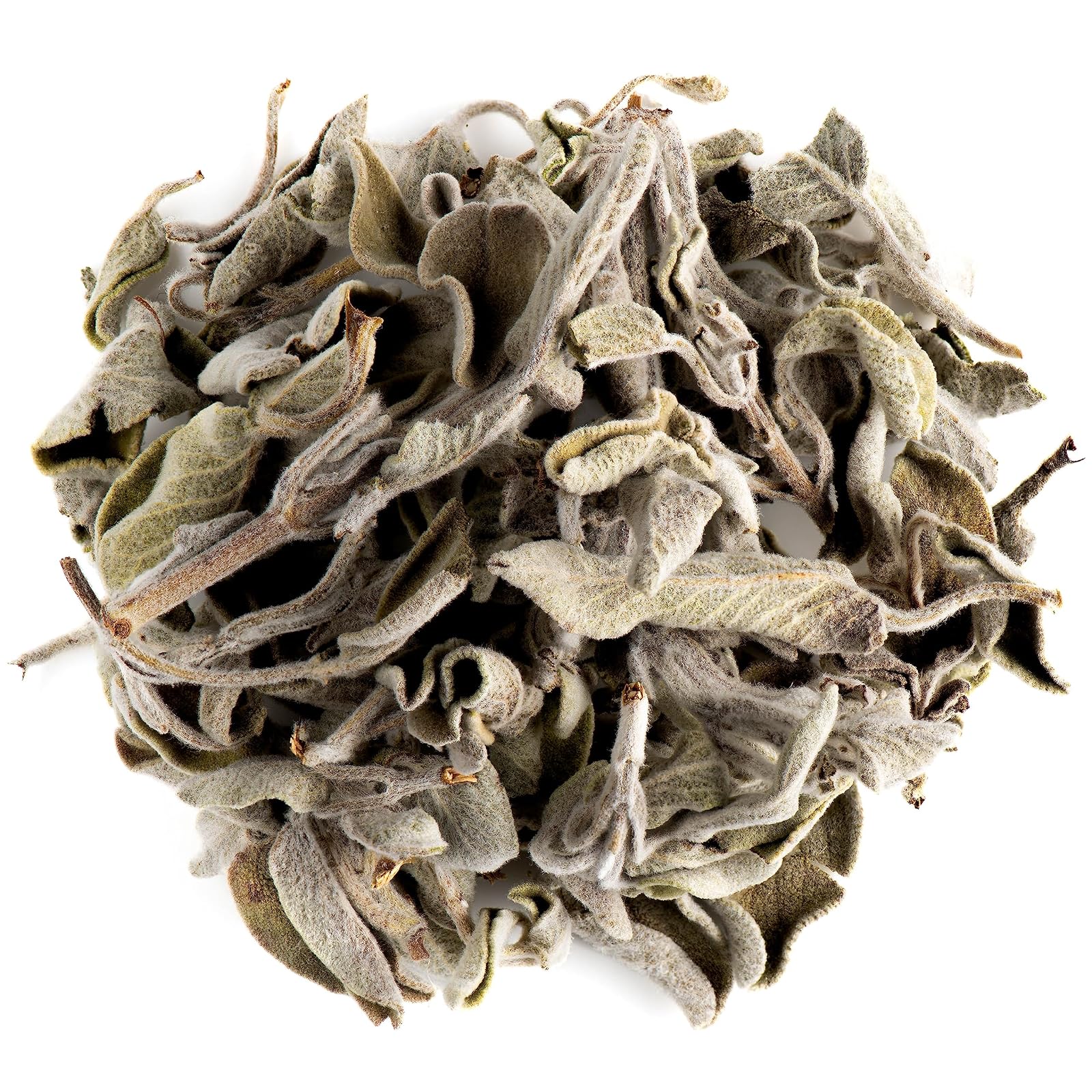 organic sage culinary herb